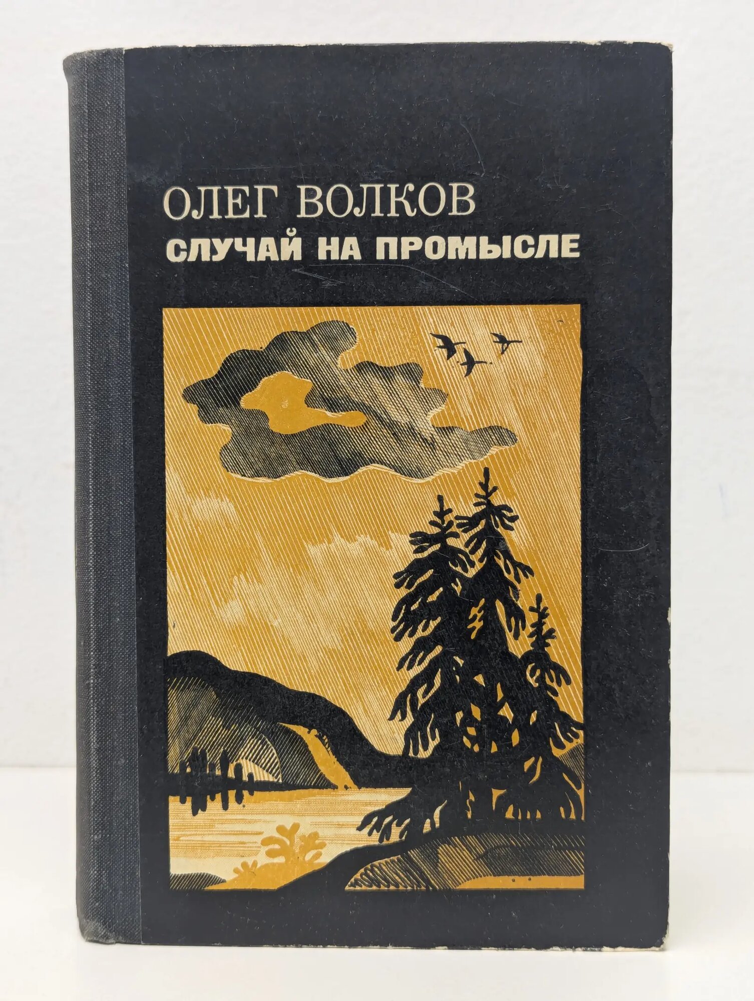 Случай на промысле Волков Олег Васильевич 1980