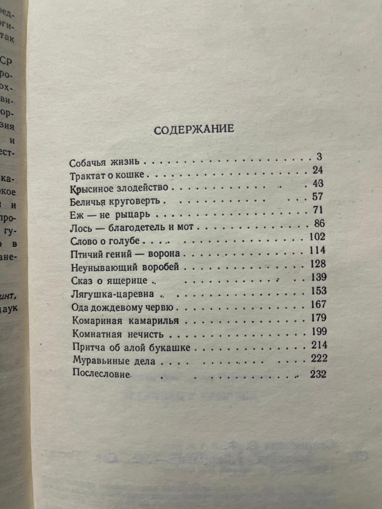 Зверинец у крыльца — фото 1