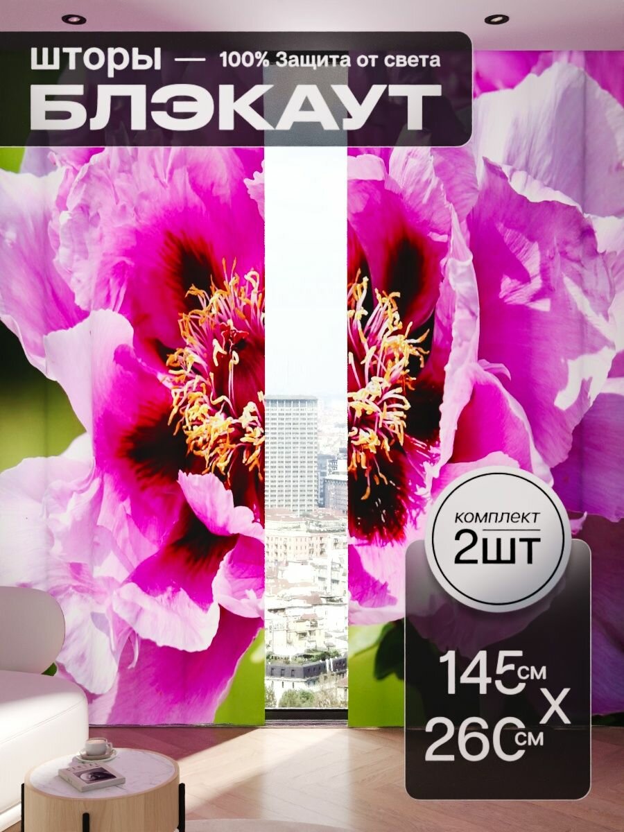 Шторы блэкаут 145x260 см 2 шт на окна плотные комплект