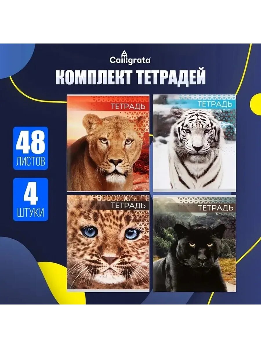 Стильный комплект тетрадей "Дикие кошки" из 4 шт.