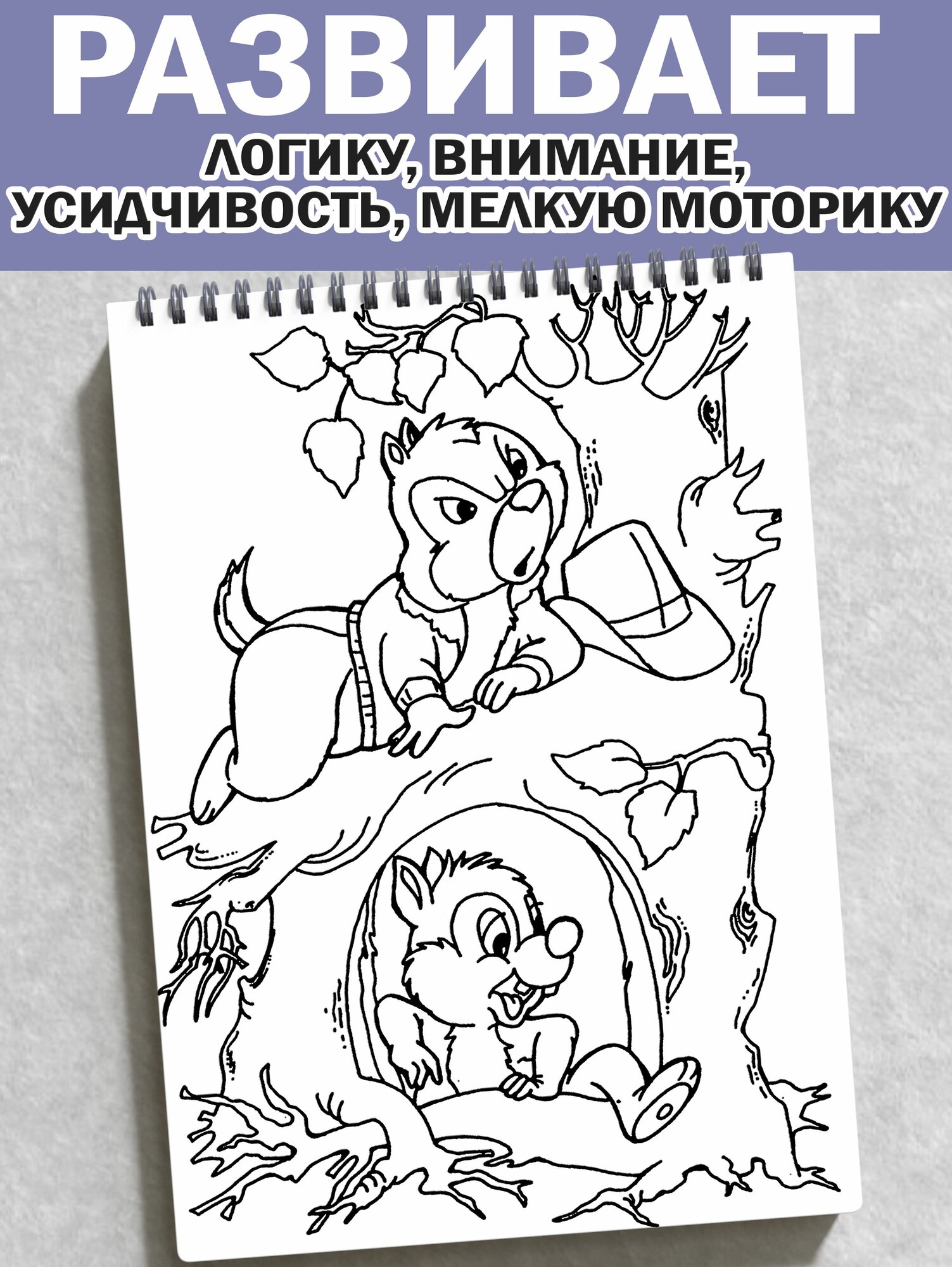 Раскраска Чип и Дейл — фото 1
