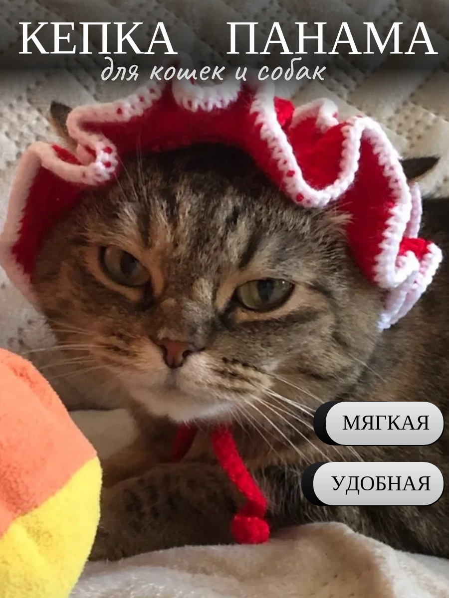 Шапка панама для кота и кошки для маленьких собак, летняя на завязках