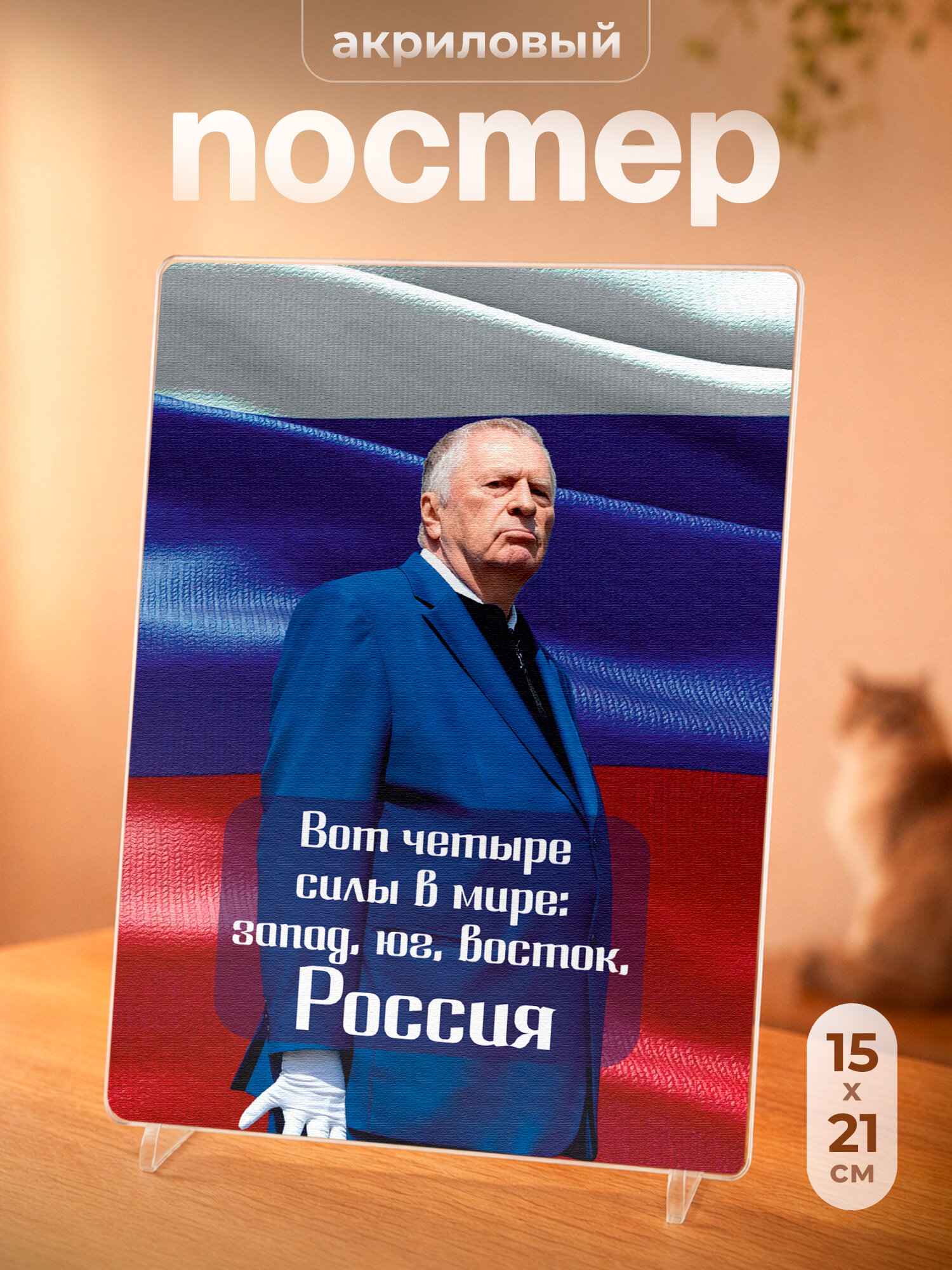Акриловый постер Жириновский мем