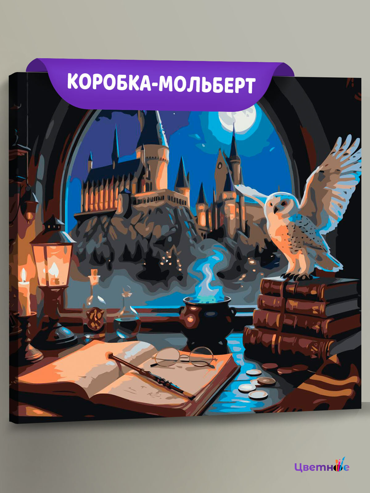 Картина по номерам на холсте с подрамником 40х40 "Картина по номерам Гарри Поттер: Хогвартс и сова Букля"
