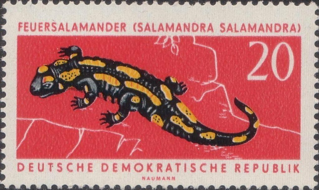 (1963-047) Марка Германия (ГДР) "Саламандра" Охраняемые животные II