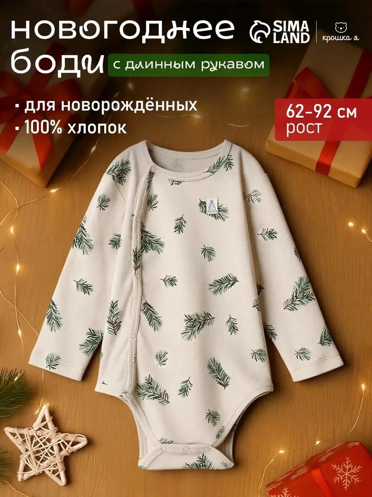 Боди