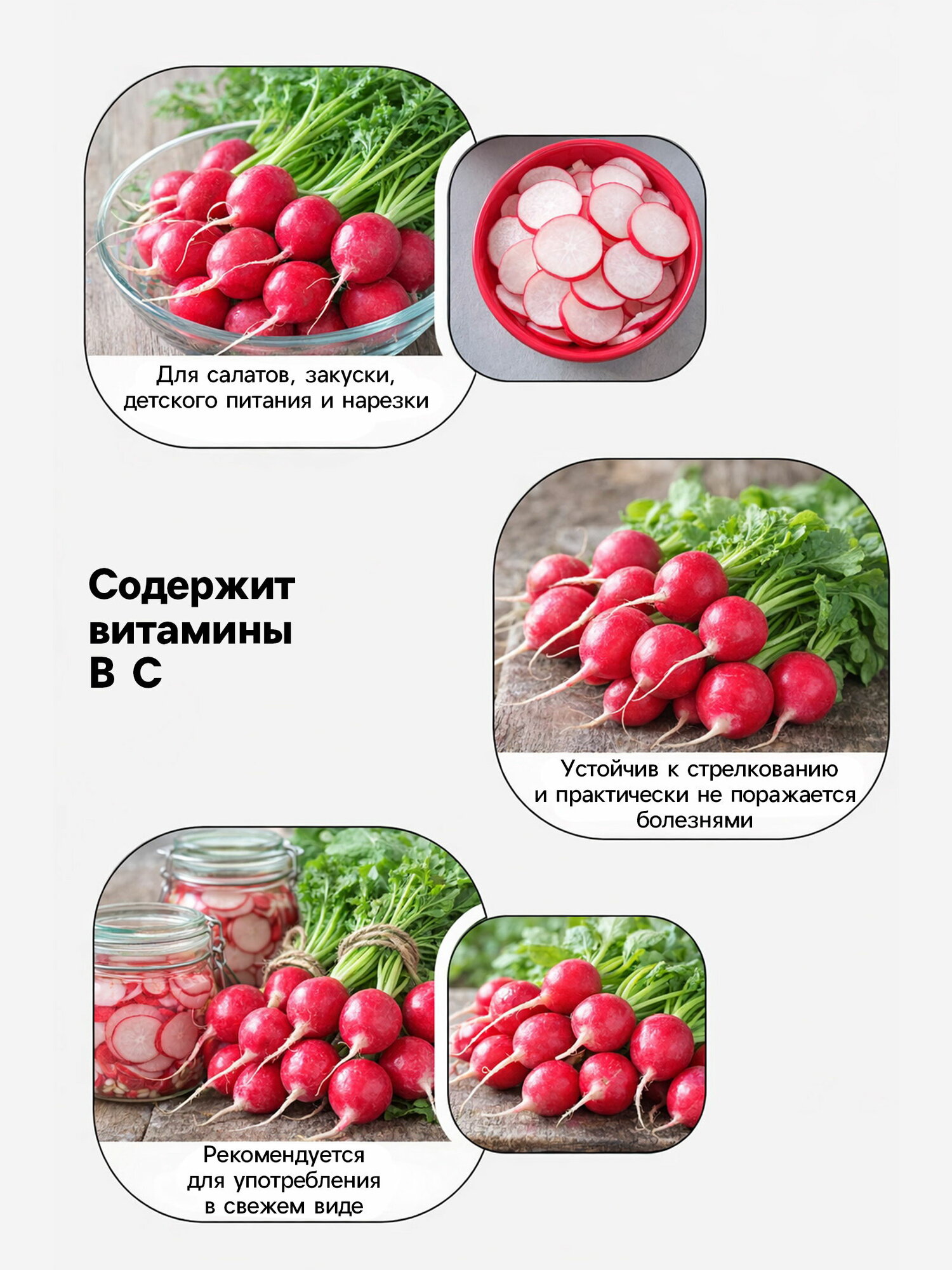 Семена Редис "16 дней", 2 г, посев (посадка) в грунт: август — фото 1