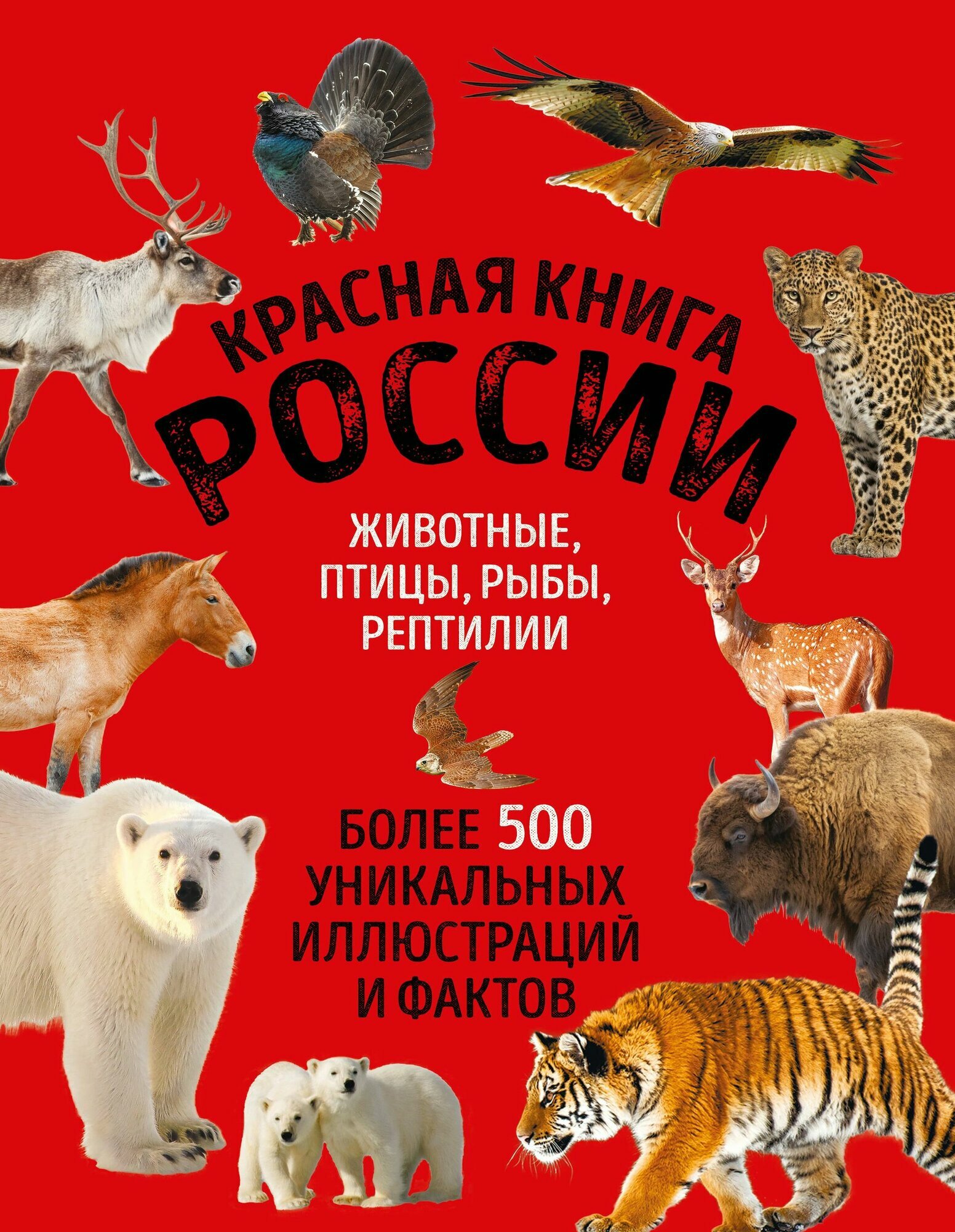 Красная книга России. Животные, птицы, рыбы, рептилии. Более 500 уникальных иллюстраций и фактов (новое издание) (основной)