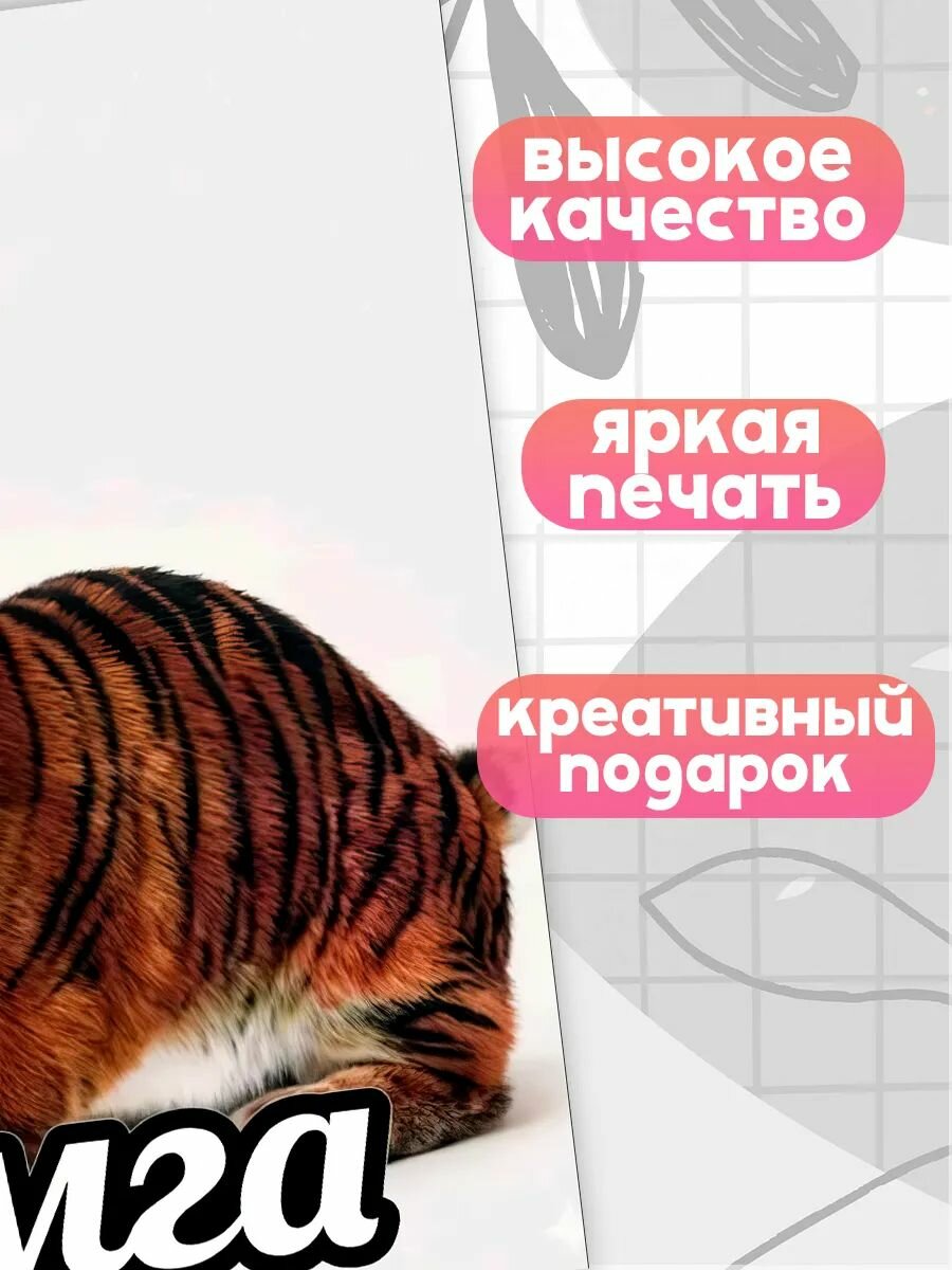 Постеры на стену Семга мем, плакат 1шт, А3 размер. — фото 1