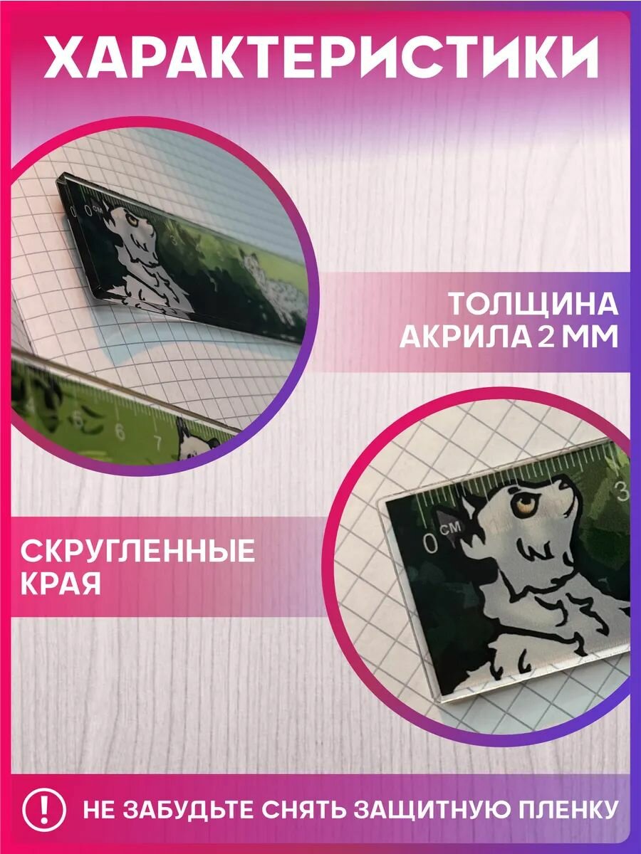 Набор линеек Иван Золо — фото 1