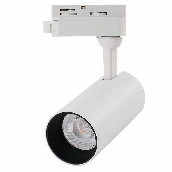Светильник трековый, спот Arte Lamp A4568PL-1WH Regulus