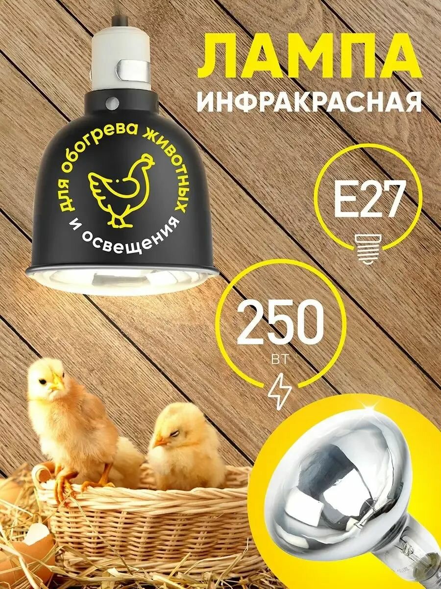 Инфракрасная лампа для обогрева ИКЗ 220-250 R127 250 Вт цоколь Е27 ЭРА / лампочка для курятника, для птиц, для животных, для цыплят