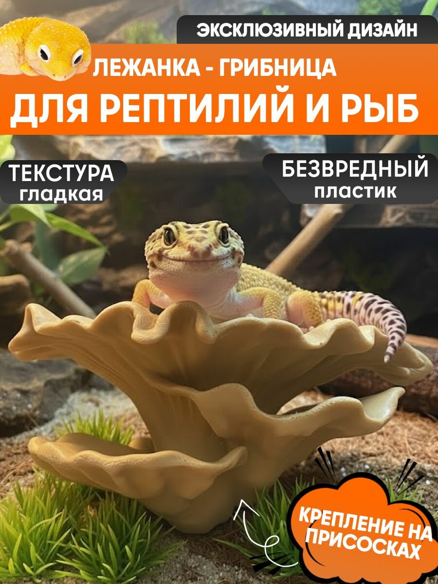 Укрытие для рептилий, фон для террариума, лежанка для эублефара, бананоеда, геккона / Декорация для террариума