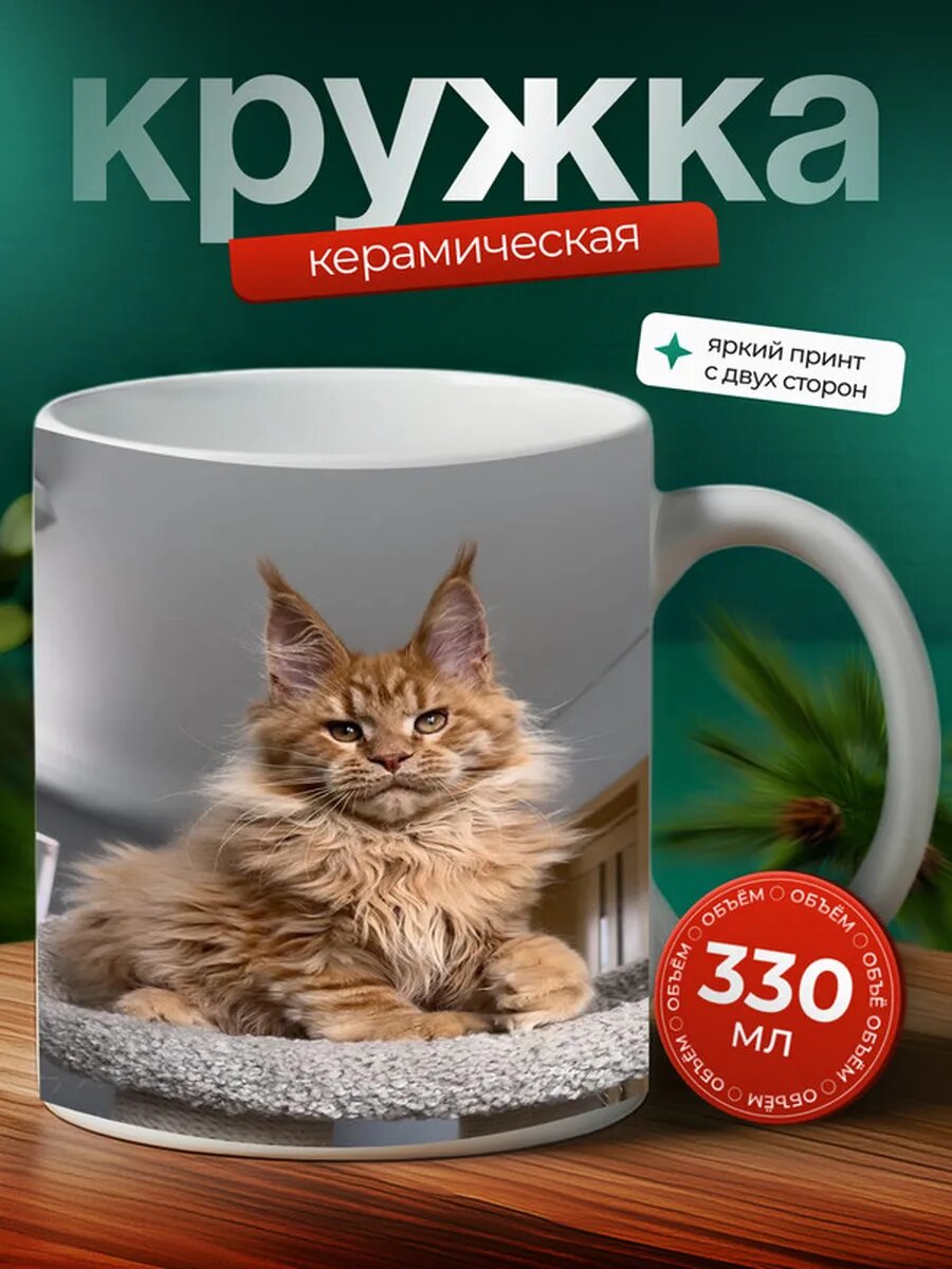 Кружка Мейн-кун кот 49,