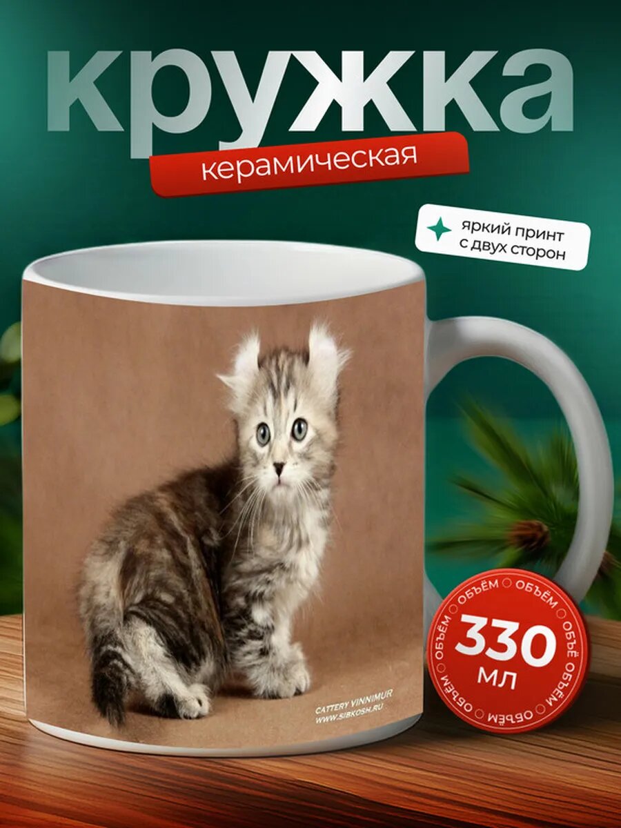 Кружка Американский рингтейл короткошерстный кот 18,
