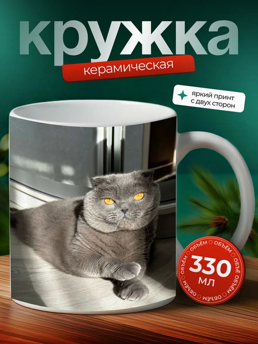 Кружка Бостонский брамин кот 8,