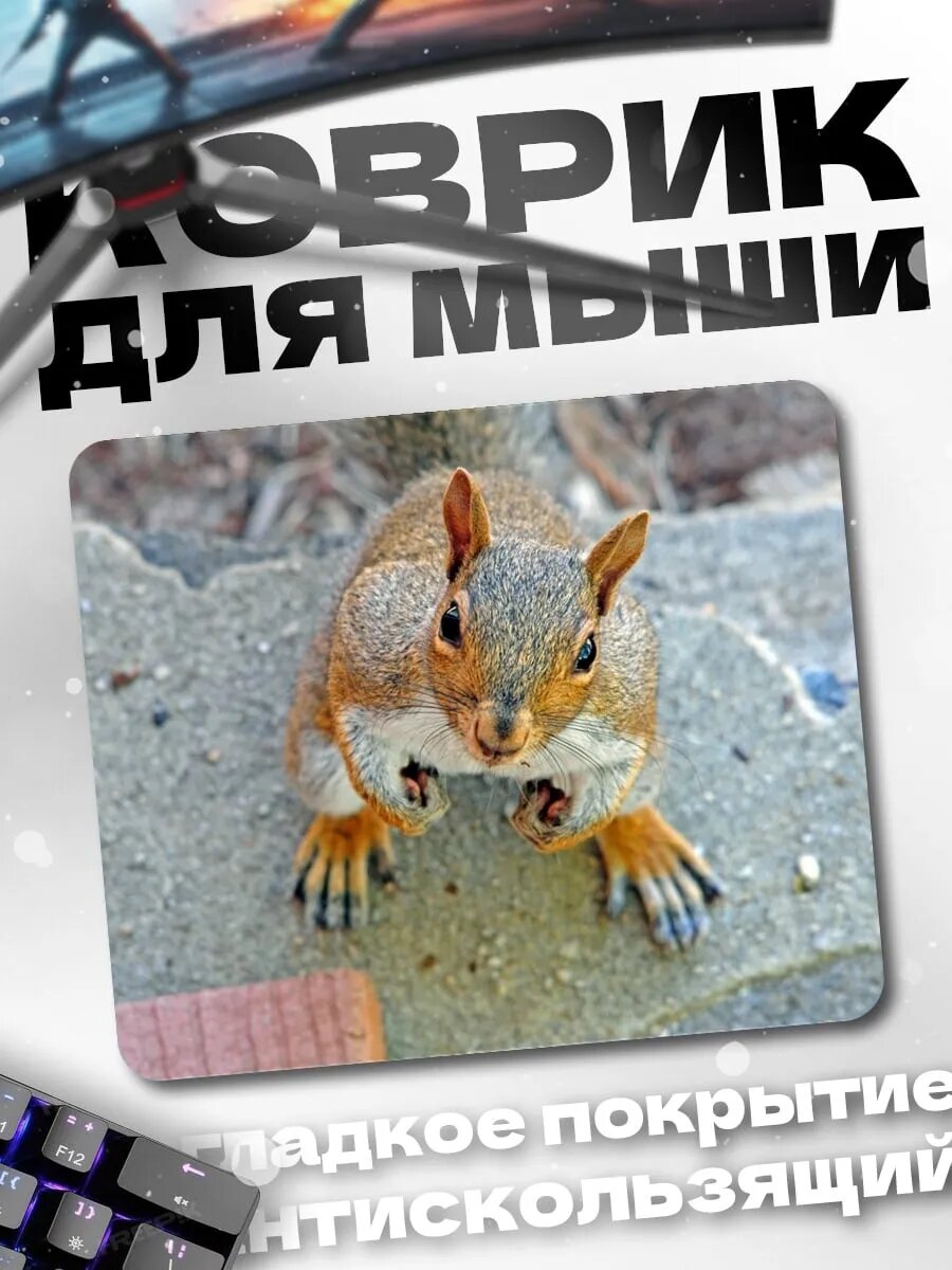 Коврик для мыши белка смотрит