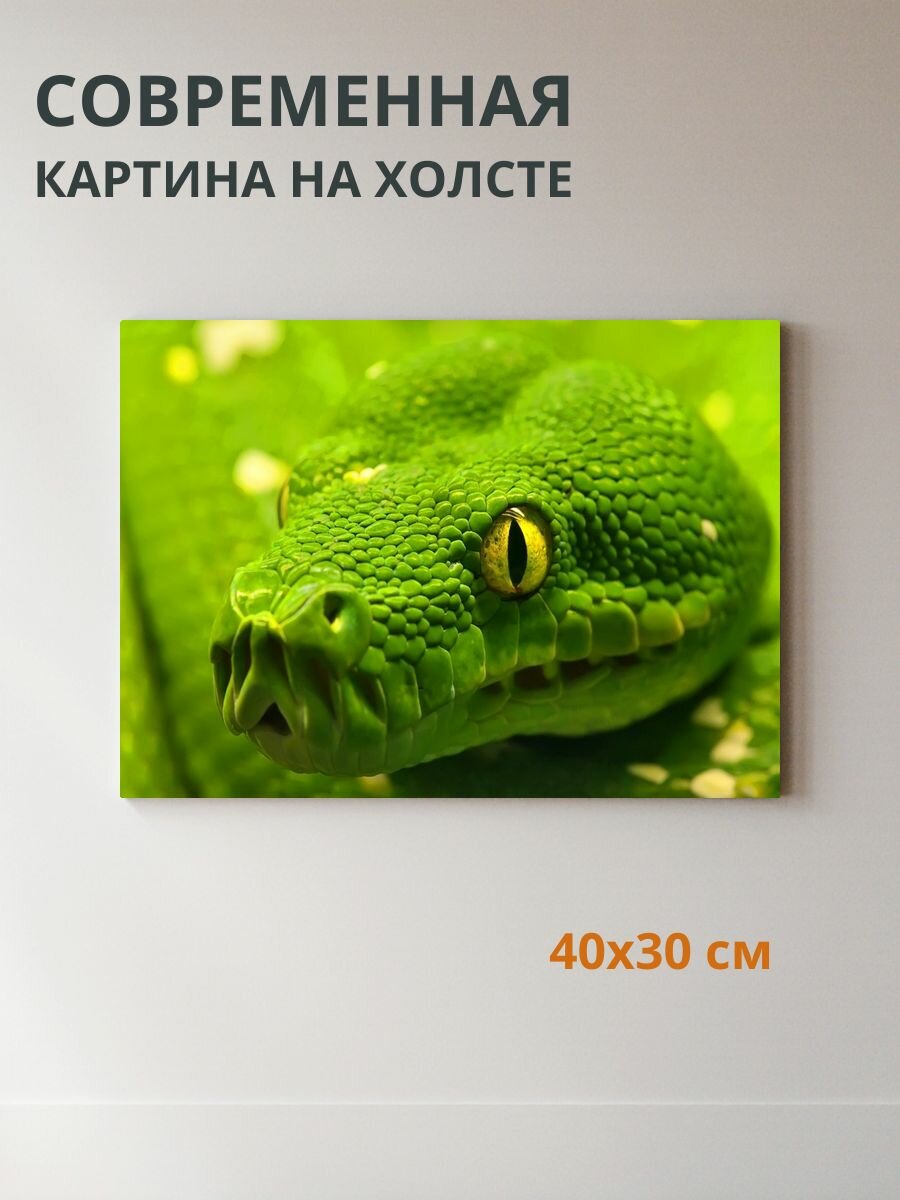 Картина на холсте Змея 40x30 см
