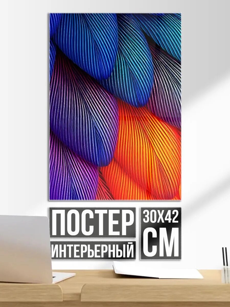 Постер на стену Радужные перья попугая