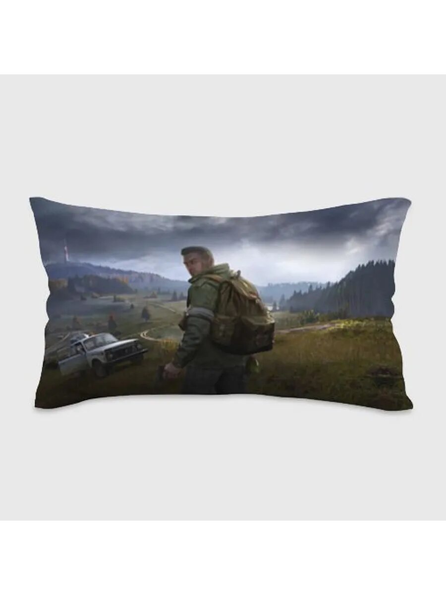 DayZ poster Дейзи постер Подушка
