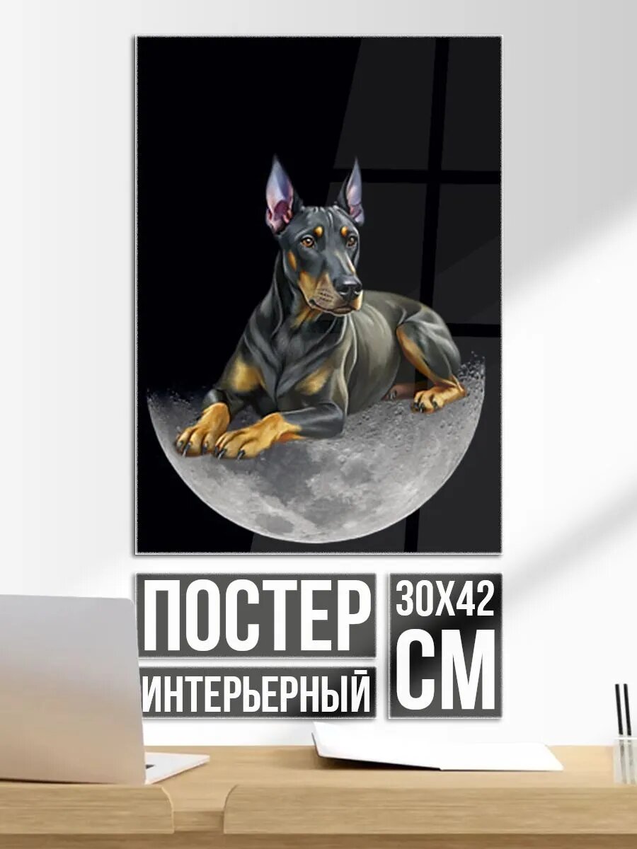 Постер на стену Доберман и луна