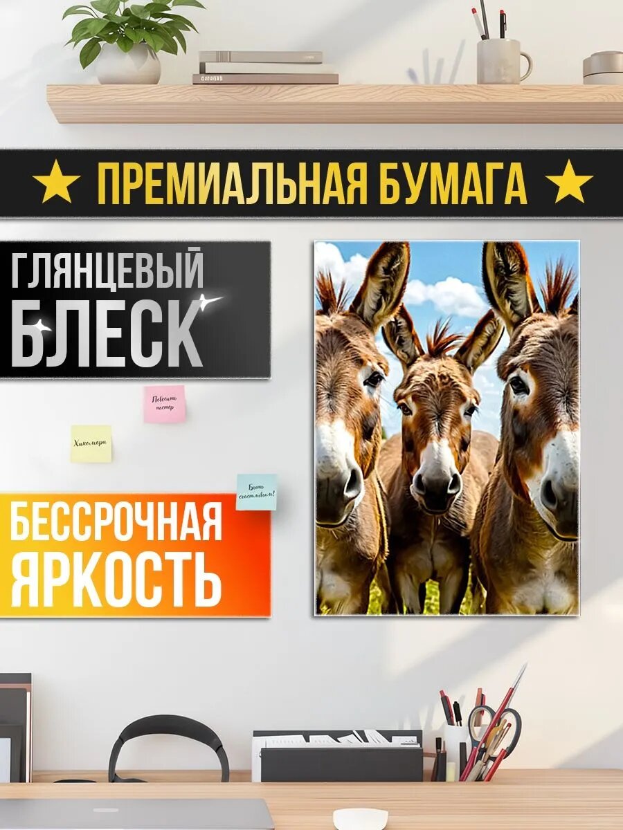 Постер на стену Стадо ослов — фото 1