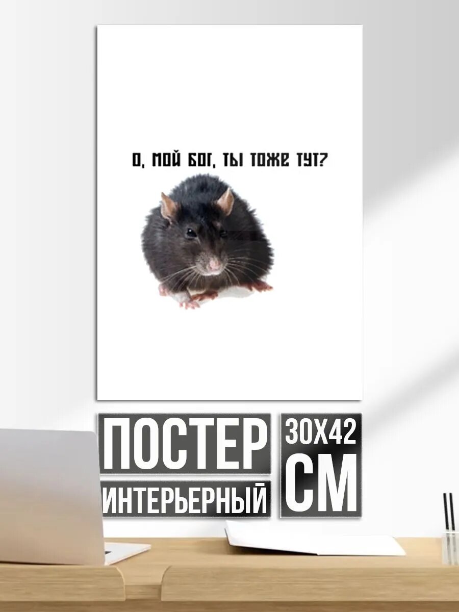 Постер на стену Крыса