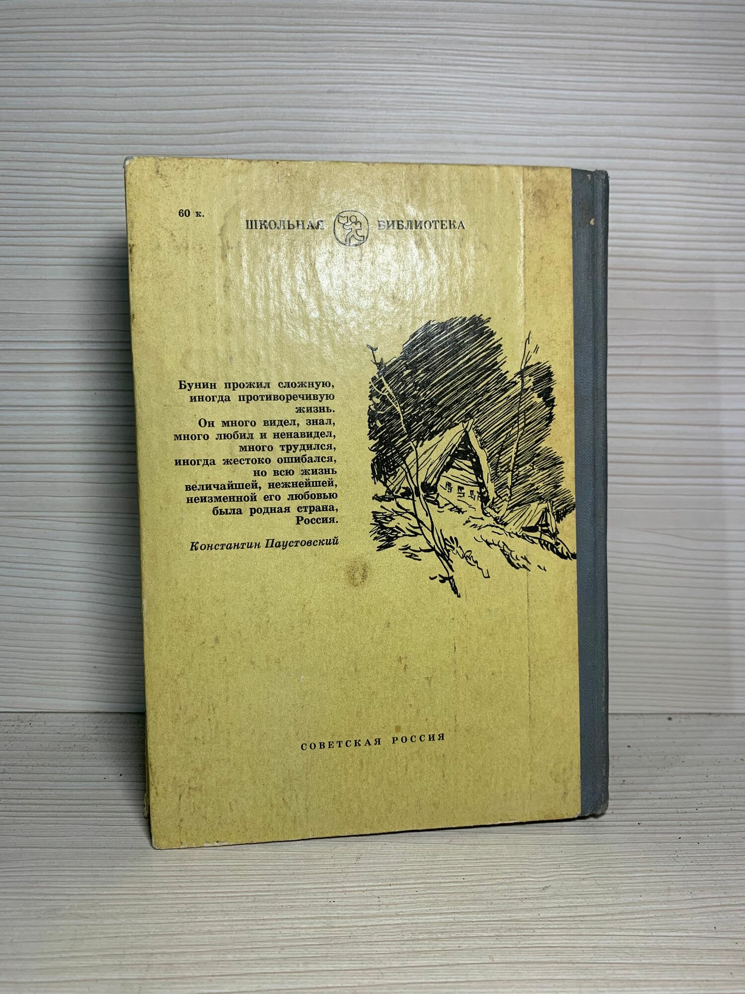 Антоновские яблоки — фото 1