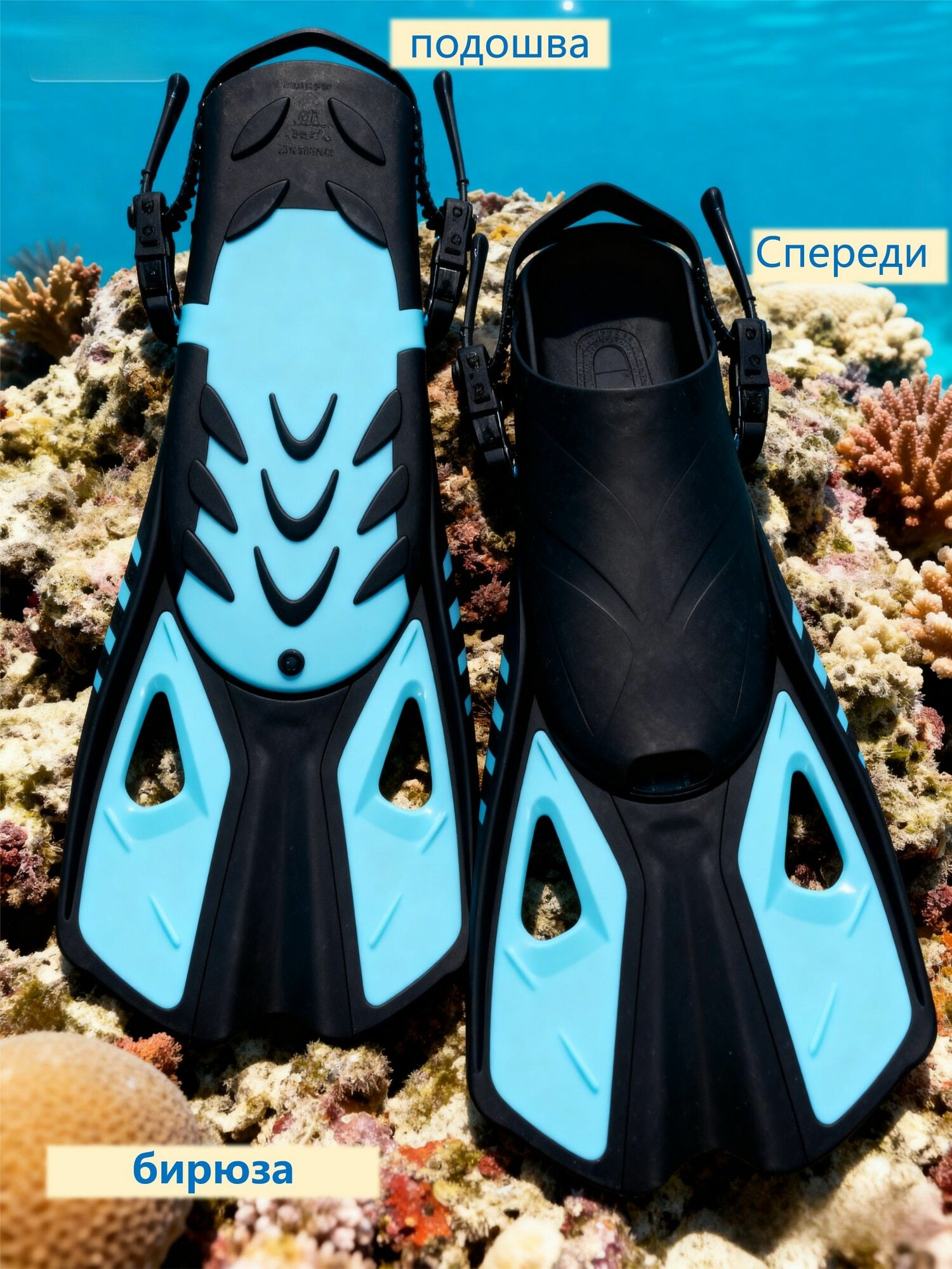 Ласты seasnail SWIMMING SET-YBL для сноркелинга