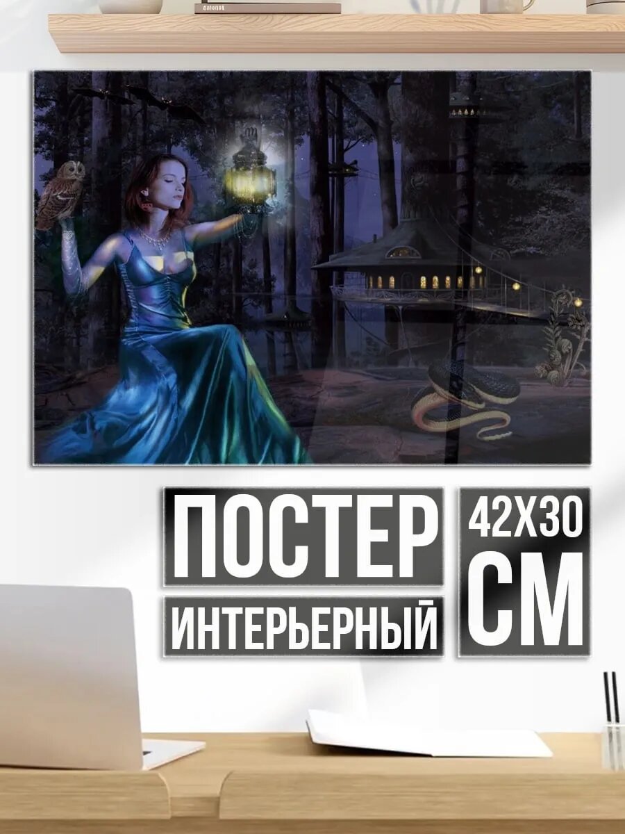 Плакат постер Лесная колдунья с совой