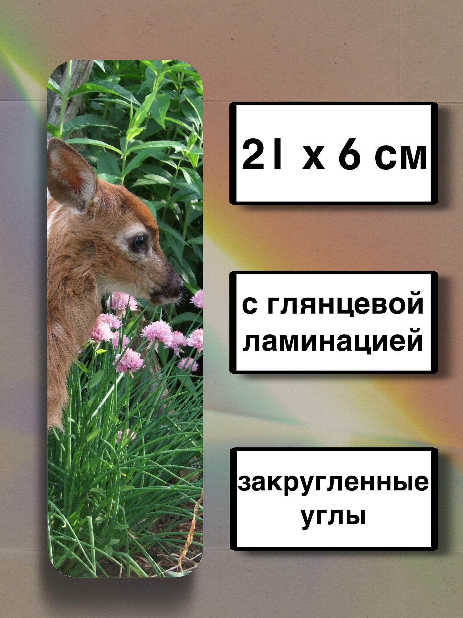 Закладки для книг — фото 1