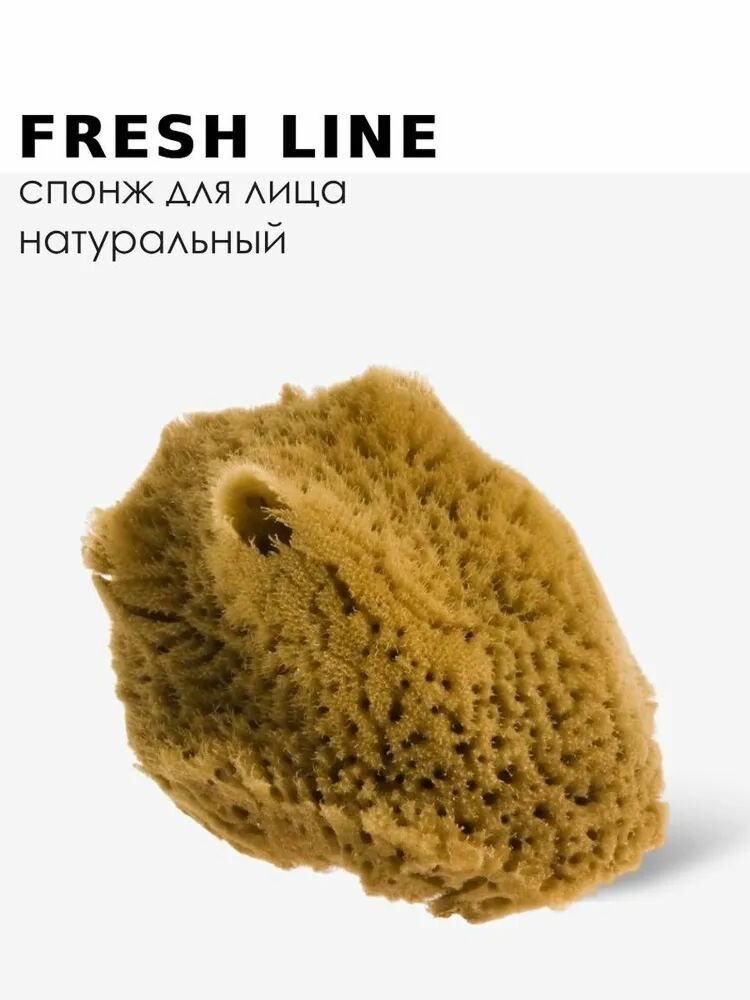 Спонж для лица натуральный