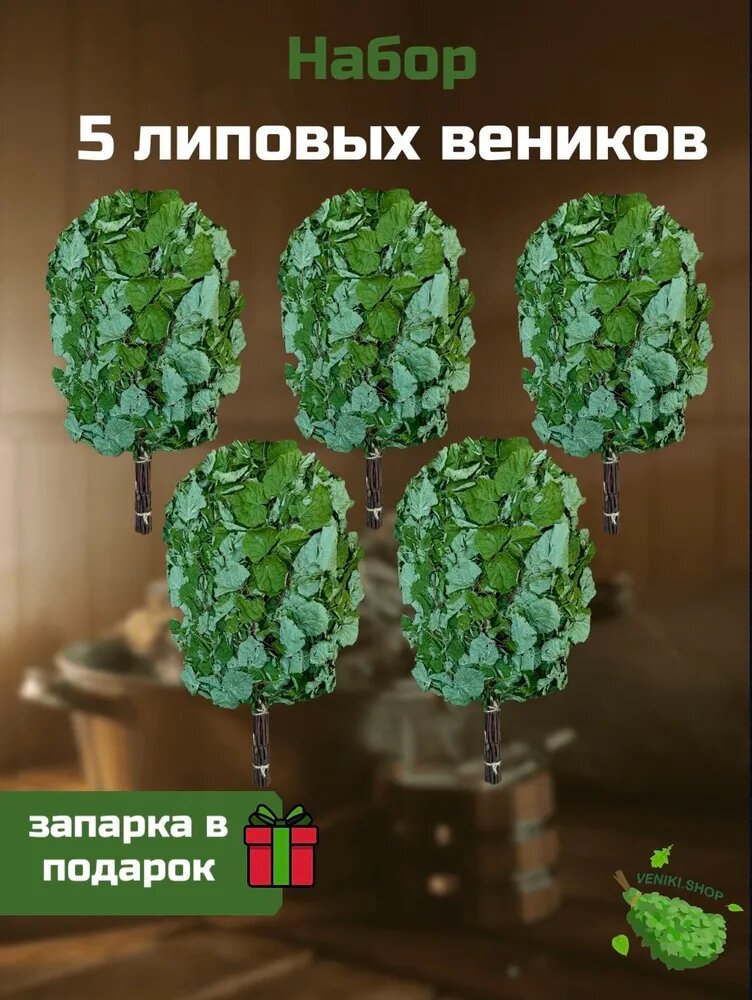 Веники. шоп Веник для бани Липовый, 5 шт.