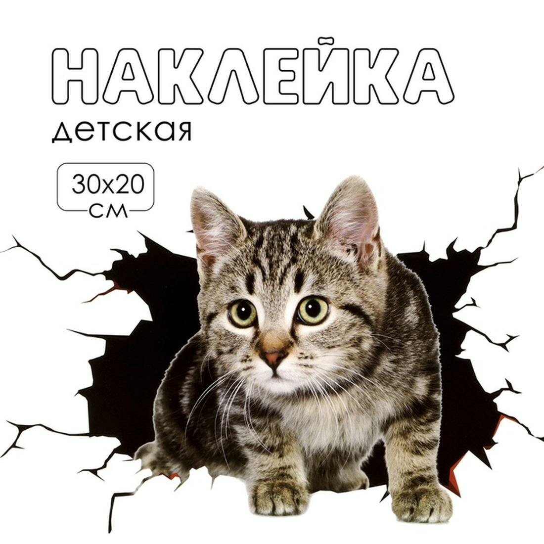 Наклейка 3Д интерьерная TAKE IT EASY "Котик", 30*20см