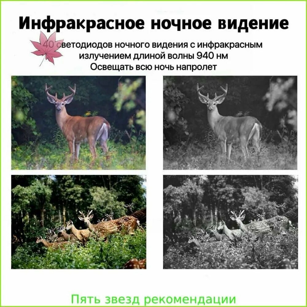 Фотоловушка — фото 1