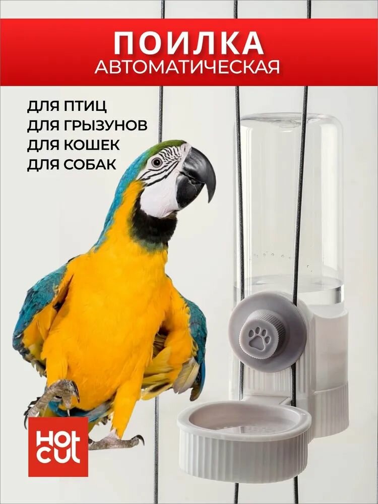 Поилка для кошек, для грызунов