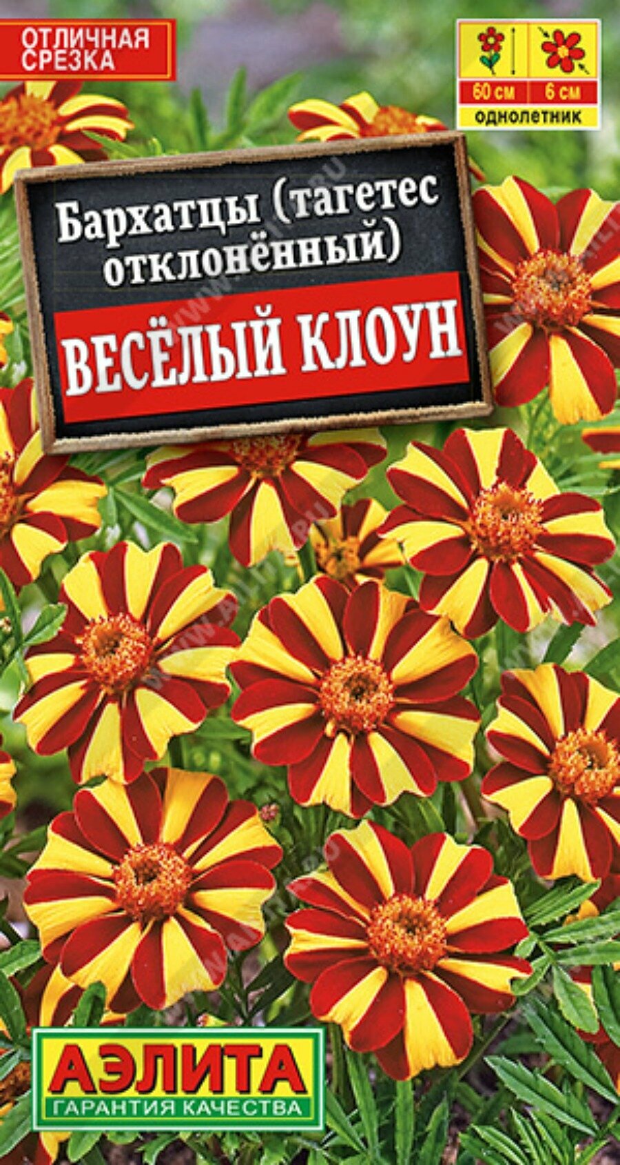 Семена Бархатцы Весёлый клоун отклоненные (0,1 г), Агрофирма Аэлита