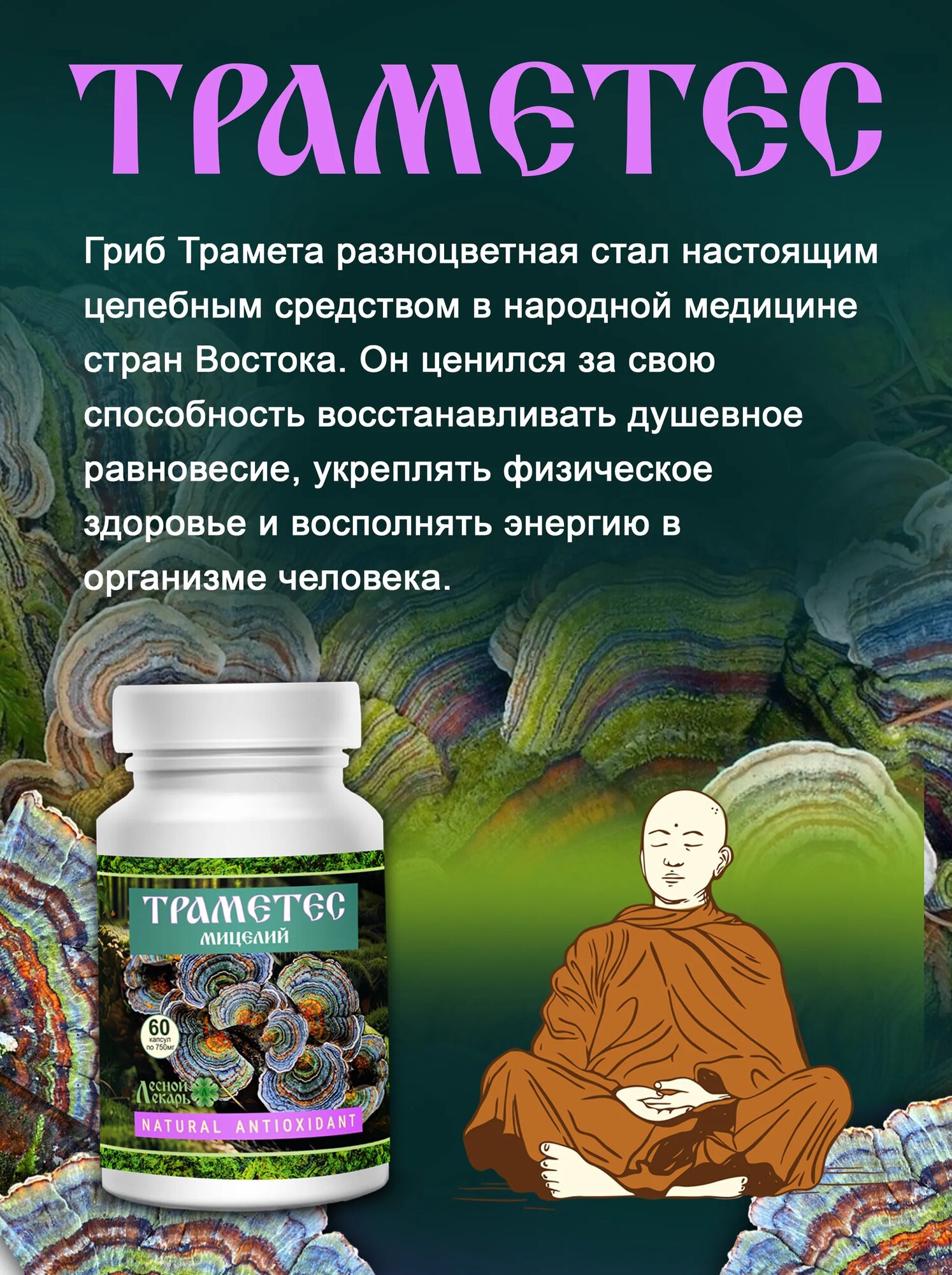 БАД Траметес Мицелий, капсулы, для укрепления иммунитета, от 18 лет, 60 шт. — фото 1