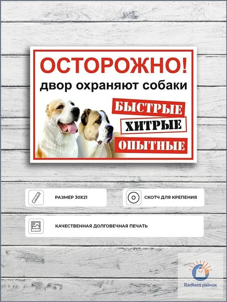 Табличка "Осторожно злая собака" с алабаями белая А4 (30х20см)