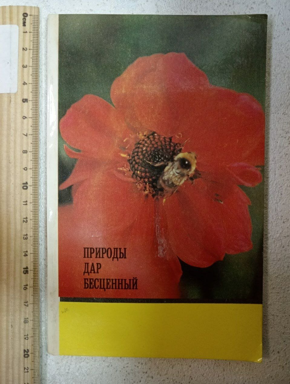 Природы дар бесценный Филиппов Петр Иванович, Бутов Арнольд Георгиевич