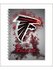 Тетрадь НФЛ - NFL