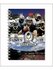 Тетрадь НФЛ - NFL