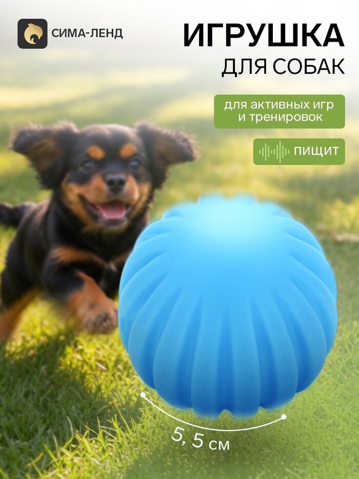Игрушка для собак с пищалкой «Мячик», 5,5 см, голубая