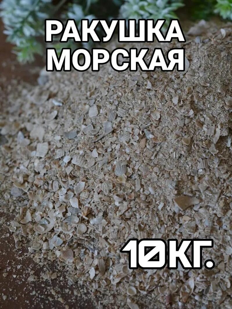 Ракушка кормовая морская ( 10 кг. )