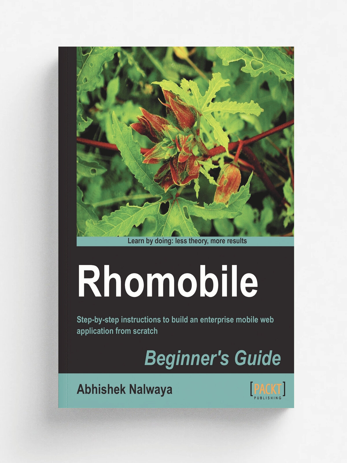 Rhomobile Beginner's Guide