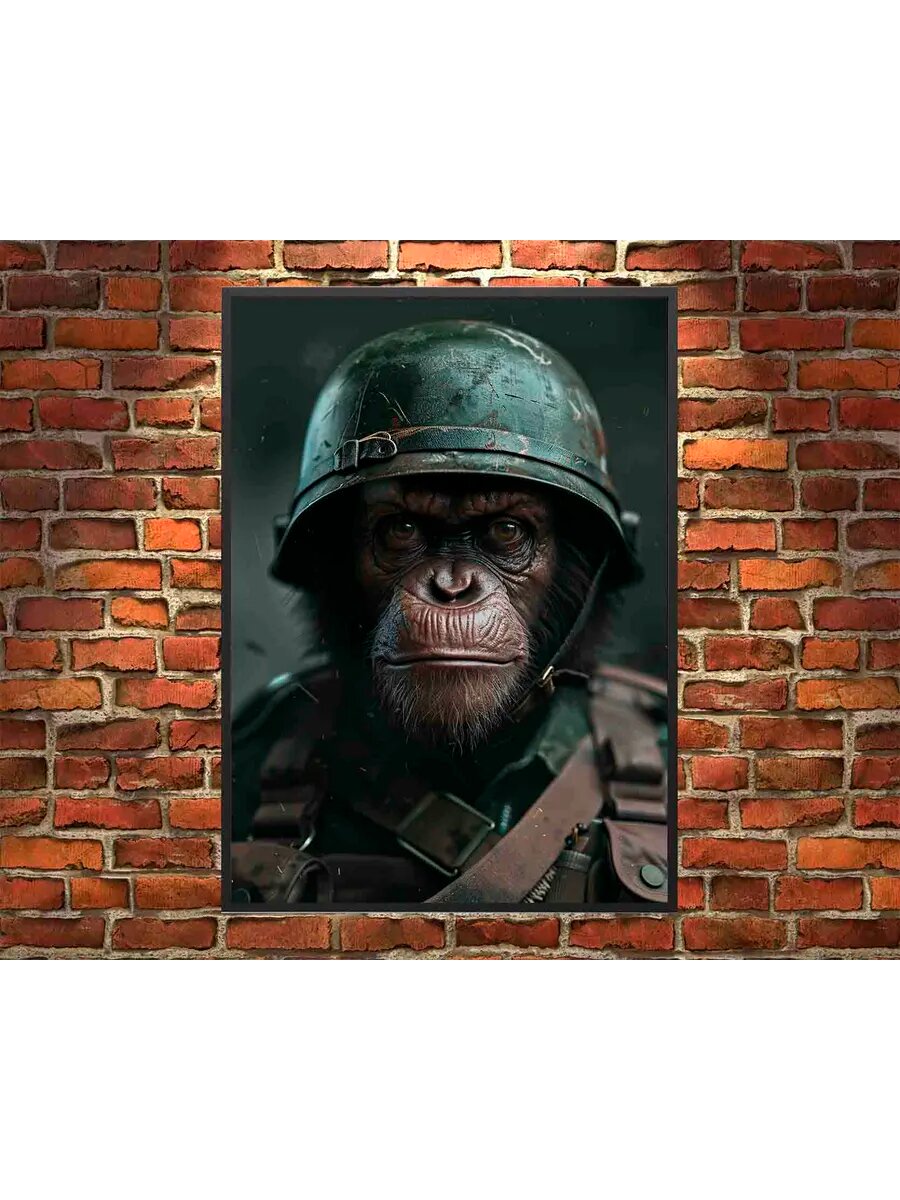 Обезьяна-животное-солдат 4, Плакат 30x42см