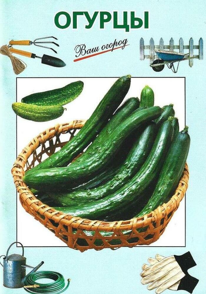 Огурцы