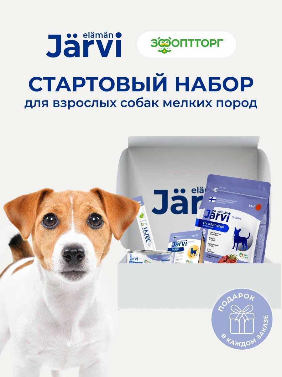 Стартовый набор Jarvi для кормления взрослых собак мелких пород: сухой корм + влажный корм + лакомство