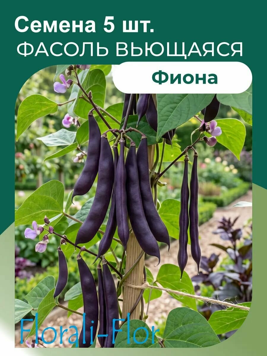 Фасоль Вьющаяся Семена