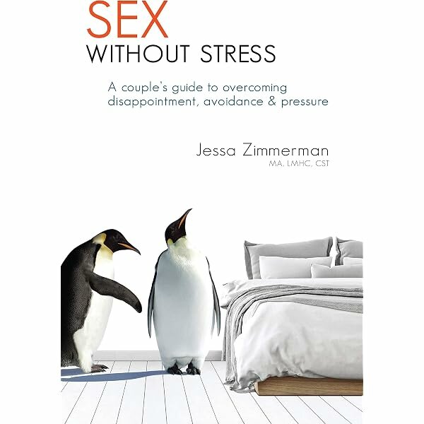 Sex Without Stress: A couple's guide to overcoming disappointment, avoidance & pressure，Reprinted paperback book